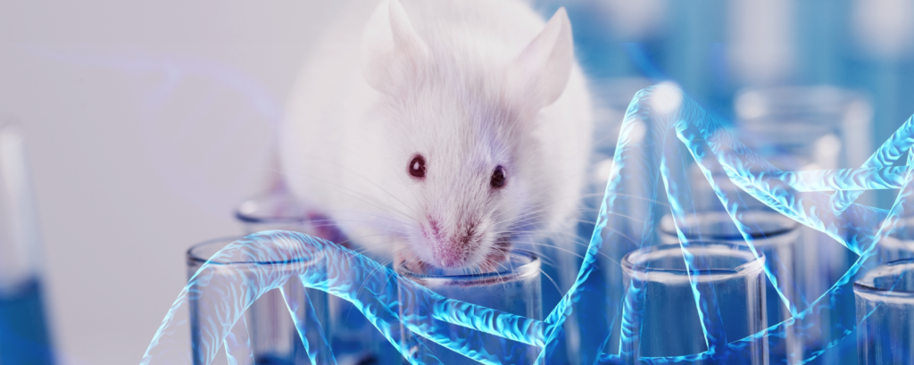 Humanized Mouse Models: An Overview - PharmaLegacy | Preclinical ...