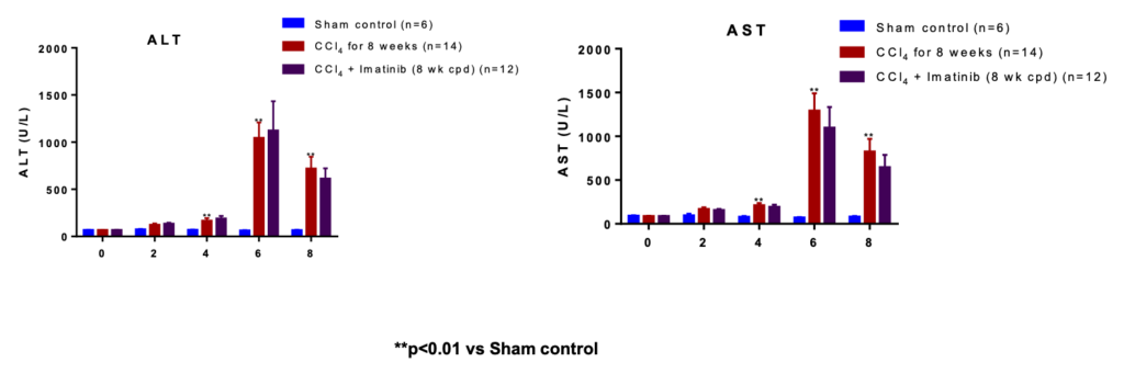 Liver Fibrosis & Cirrhosis - PharmaLegacy | Preclinical Pharmacology CRO