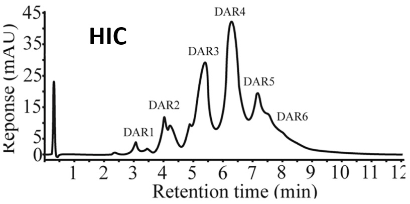 Antibody-Drug Conjugate Characterization & Evaluation - PharmaLegacy | Preclinical Pharmacology CRO