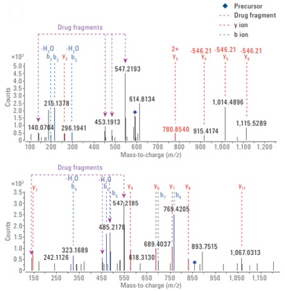 Antibody-Drug Conjugate Characterization & Evaluation - PharmaLegacy ...