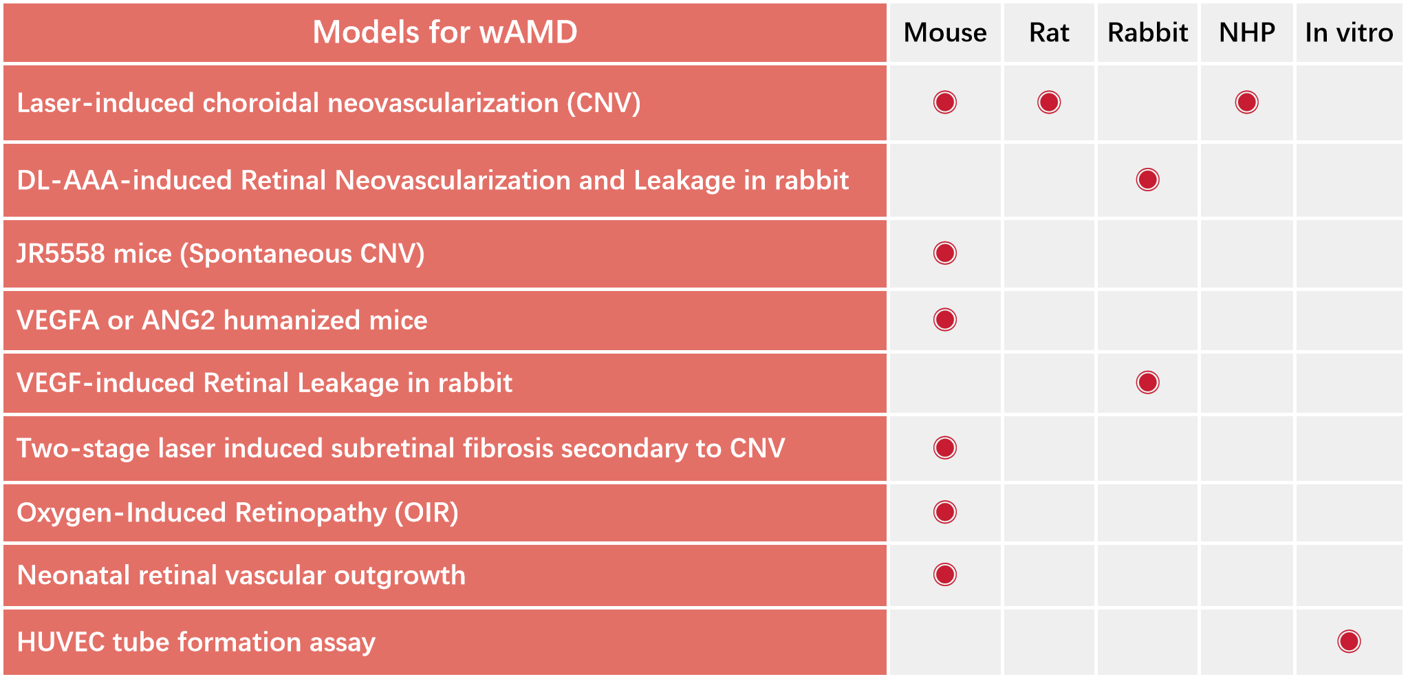 All You Need To Know About Animal Models of Wet Age-Related Macular ...